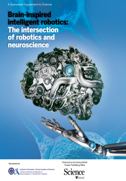Neuromorphic Books – Brain Inspired Robotics Blog