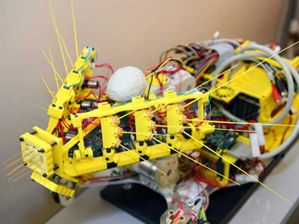 Brain Inspired Robots – Brain Inspired Robotics Blog
